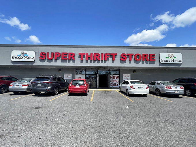 Welcome to the Bargain Bonanza! This isn't just a store; it's a treasure hunt where your wallet gets a standing ovation.