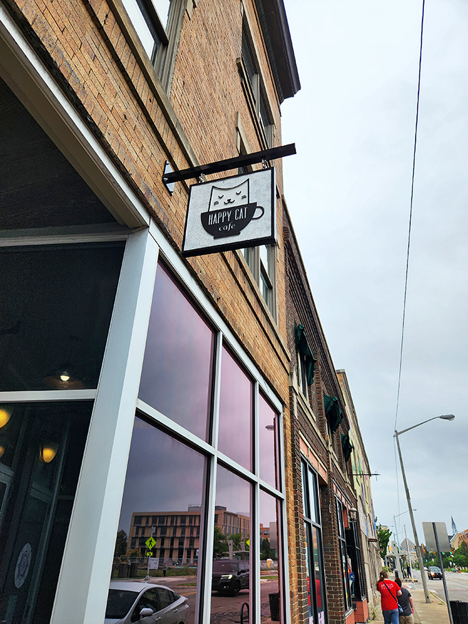 Welcome to the feline-friendly frontier! Happy Cat Cafe's charming storefront invites you to a world where coffee and kitties reign supreme.