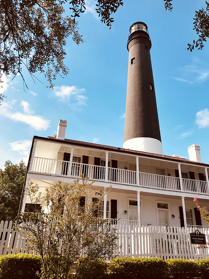 Towering ambition meets Southern charm! This lighthouse stands tall, its black-and-white ensemble more striking than a penguin at a formal dinner.