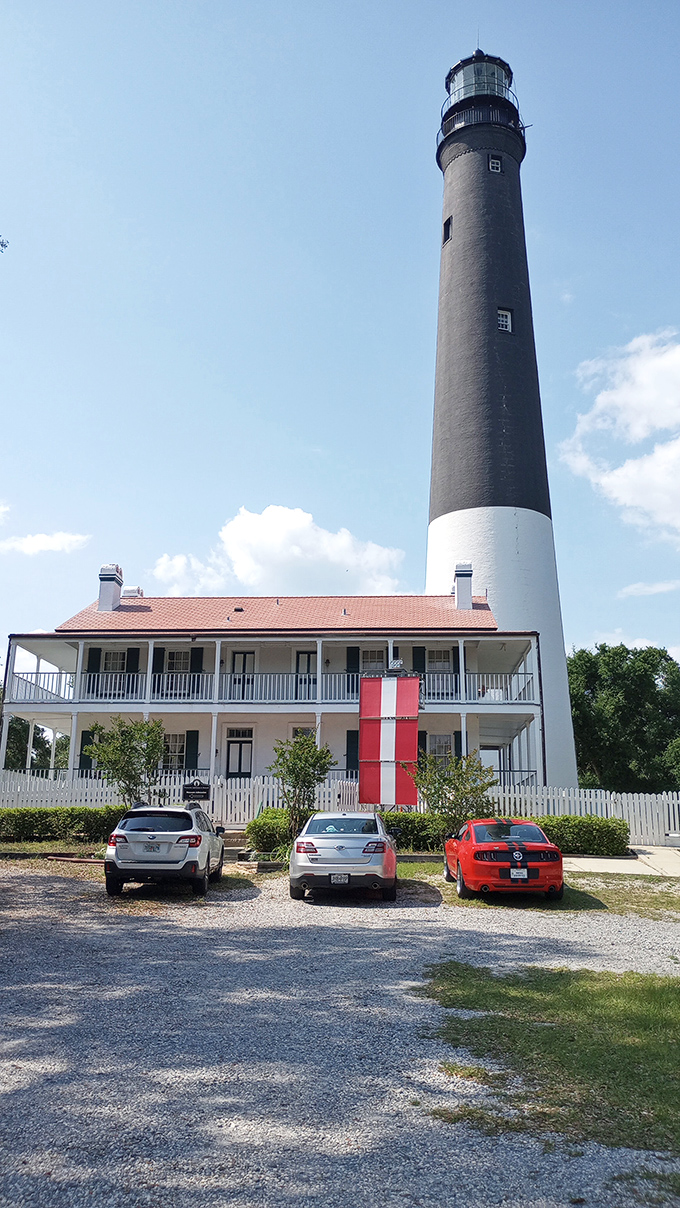Towering ambition meets Southern charm! This lighthouse stands tall, its black-and-white ensemble more striking than a penguin at a formal dinner.