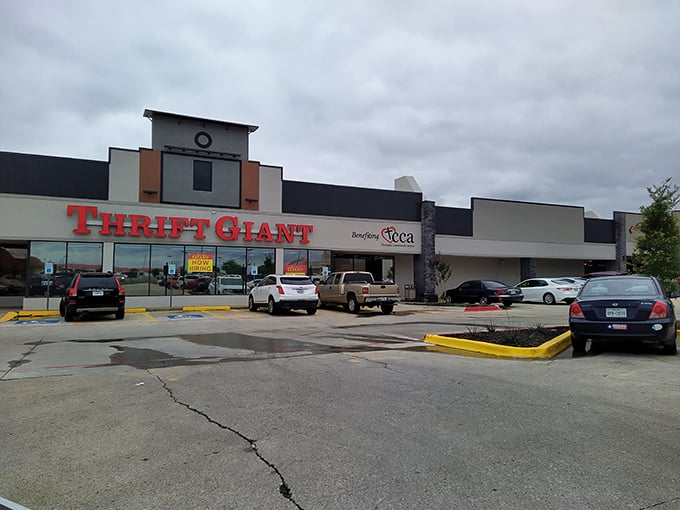 "Thrift Giant" indeed! This behemoth of bargains stands ready to swallow your wallet whole &ndash; and spit out treasures you never knew you needed.