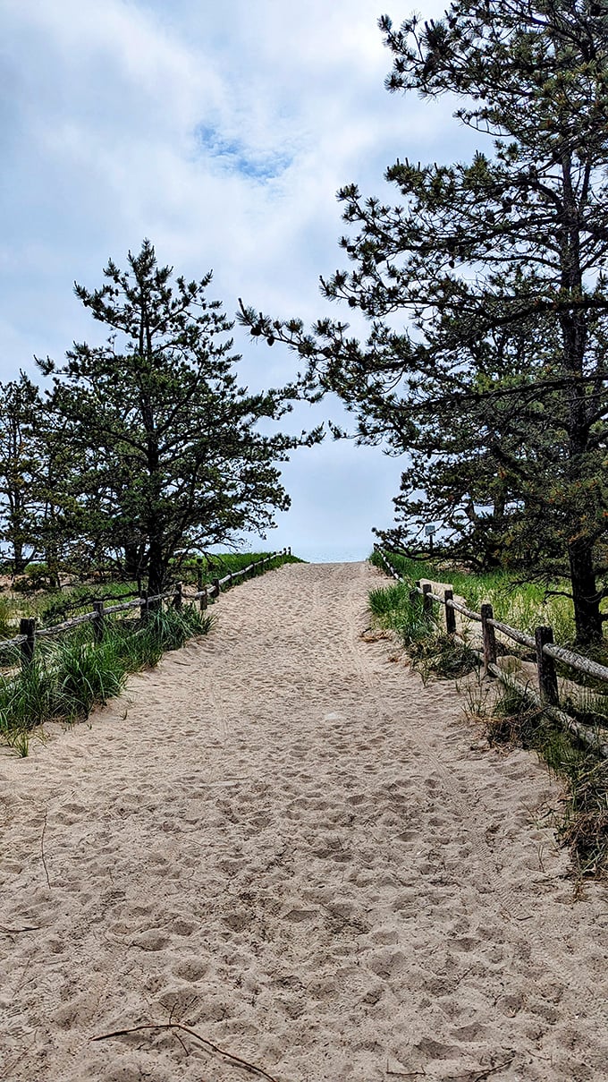 Surf's up, and so is the fun! Ferry Beach's sparkling waters and golden sands are like nature's own theme park, minus the overpriced cotton candy.