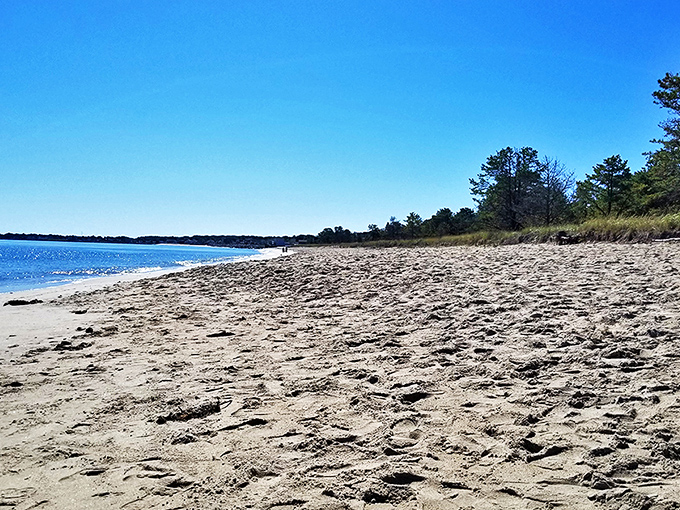 Surf's up, and so is the fun! Ferry Beach's sparkling waters and golden sands are like nature's own theme park, minus the overpriced cotton candy.