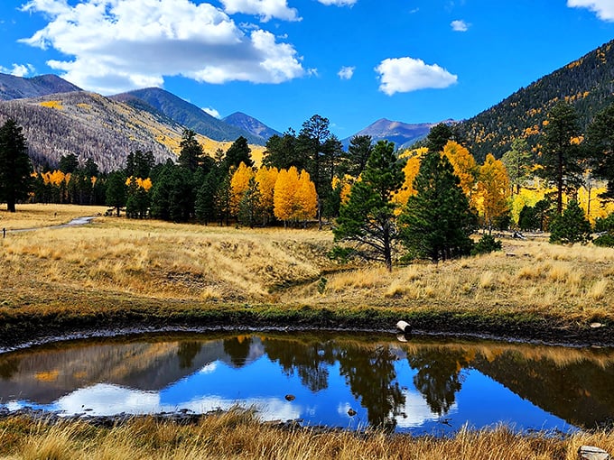 Nature's mirror: Autumn's golden palette reflects in a tranquil mountain pond, framed by majestic peaks and azure skies.