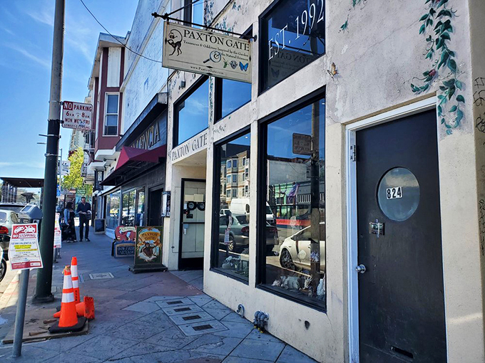 Welcome to Paxton Gate, where curiosity meets whimsy! This unassuming storefront in San Francisco's Mission District hides a treasure trove of natural wonders and oddities.