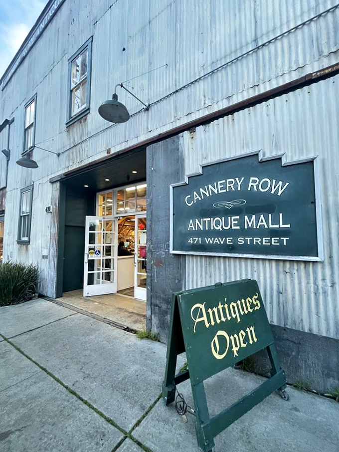 Step into a time machine disguised as a warehouse! This corrugated metal marvel houses treasures that'll make your inner collector do a happy dance.