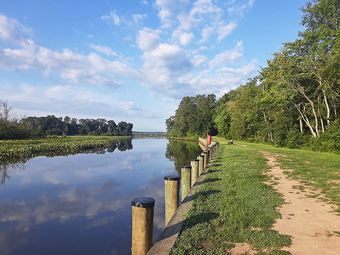 Mirror, mirror on the water: Martinak State Park's tranquil lake reflects the sky like nature's own Instagram filter. A serene escape that'll make you forget your phone exists.