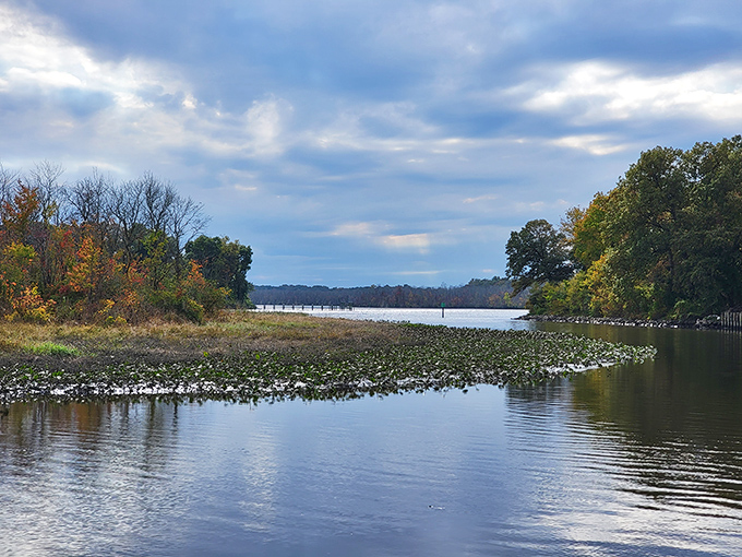 Mirror, mirror on the water: Martinak State Park's tranquil lake reflects the sky like nature's own Instagram filter. A serene escape that'll make you forget your phone exists.