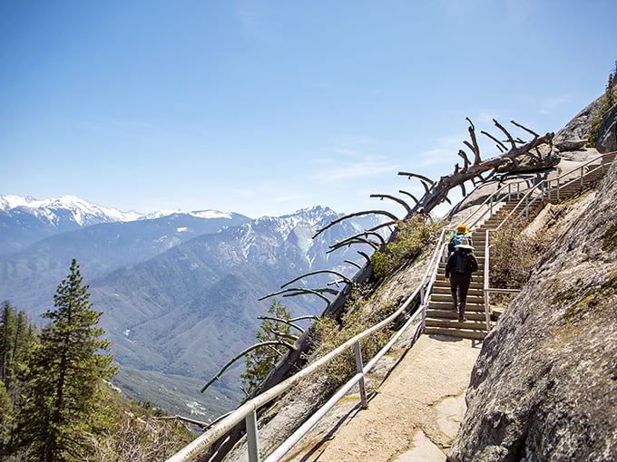 Stairway to heaven or leg day nightmare? This winding path up Moro Rock promises views that'll make you forget your burning calves.