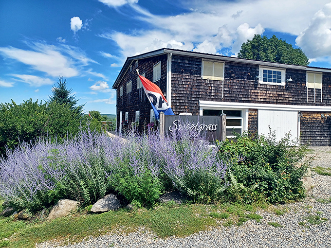 Who needs a red carpet when you've got a gravel driveway leading to wine paradise? This rustic winery beckons with charm and the promise of delicious discoveries.