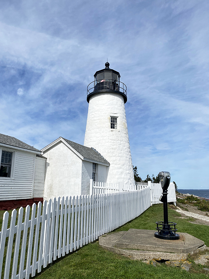 A beacon of hope, or just a really tall nightlight? Pemaquid Point Lighthouse stands guard, its white tower a stark contrast against the azure Maine sky.