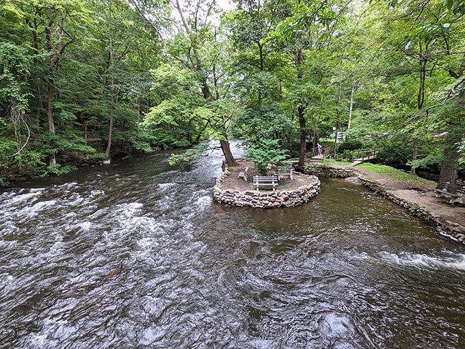Nature's own lazy river! This winding waterway is like Mother Nature's version of a theme park ride, minus the overpriced tickets.