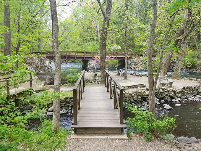 Nature's own lazy river! This winding waterway is like Mother Nature's version of a theme park ride, minus the overpriced tickets.