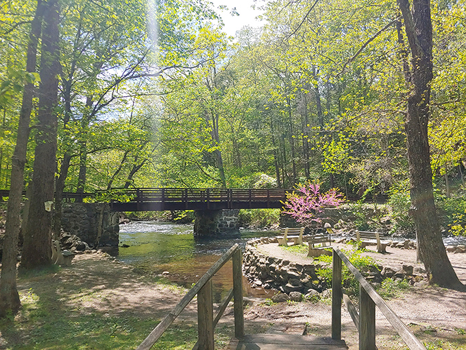Nature's own lazy river! This winding waterway is like Mother Nature's version of a theme park ride, minus the overpriced tickets.