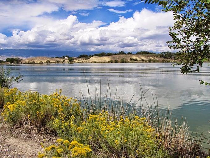 Sweitzer Lake: A shimmering oasis that puts the 'sweet' in Sweitzer! This hidden gem sparkles like nature's own disco ball, inviting you to dive into Colorado's best-kept secret.