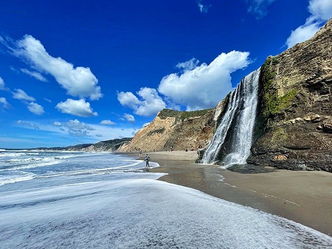 Nature's own infinity pool! Alamere Falls cascades directly onto the beach, creating a scene so stunning it'll make your Instagram followers weep with envy.