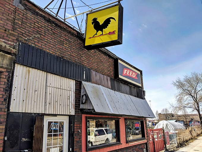 Welcome to Feed, where the rooster rules and the chicken reigns supreme! This unassuming exterior hides a world of flavor waiting to be discovered.