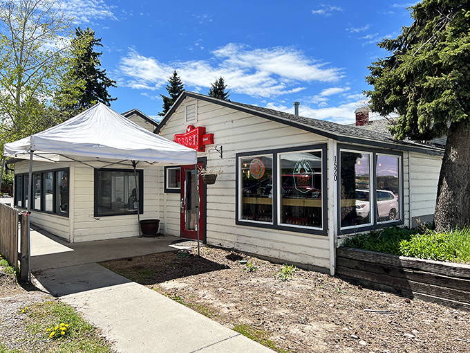 Welcome to chicken paradise! This unassuming shack holds more flavor than a country music festival's food court.