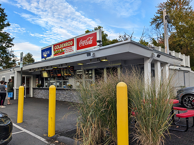 Welcome to the Goldenrod, where nostalgia meets flavor! This unassuming yellow building houses some of New Hampshire's most legendary fried chicken.