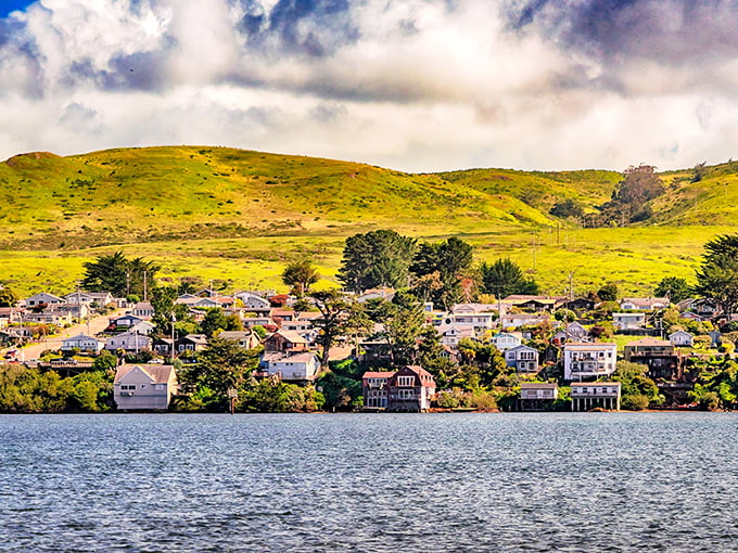 Bodega Bay: Where the hills meet the sea in a postcard-perfect embrace. This coastal gem is like a warm hug from Mother Nature herself.