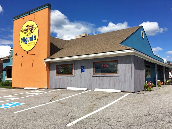 Sunshine on a plate! Miguel's cheerful exterior promises a fiesta for your taste buds.