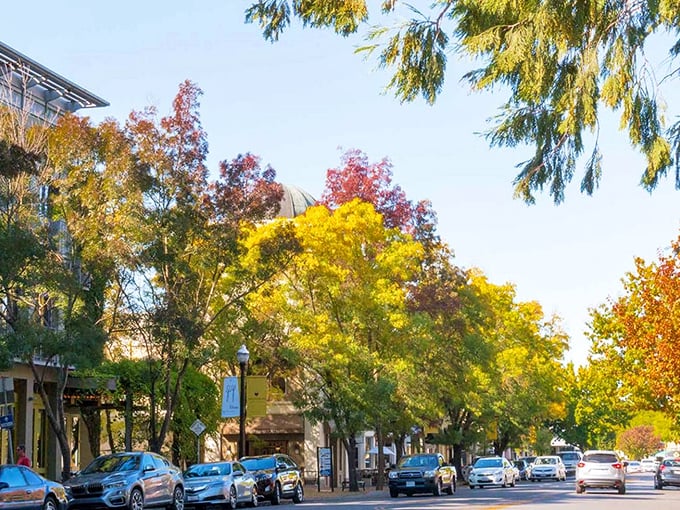 This charming town nestled in wine country looks like it was painted by Bob Ross himself - just add some happy little grapevines.