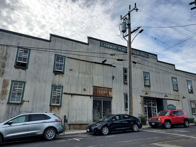Step into a time machine disguised as a warehouse! This corrugated metal marvel houses treasures that'll make your inner collector do a happy dance.