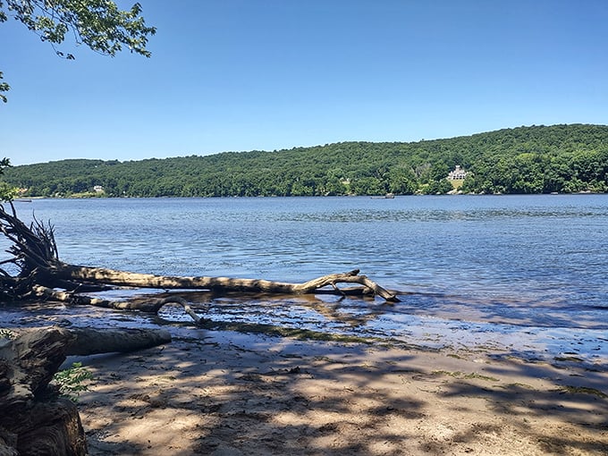 Nature's jackpot! A rainbow arches over Haddam Meadows, turning fishing rods into magic wands. Who needs a pot of gold when you've got this view?