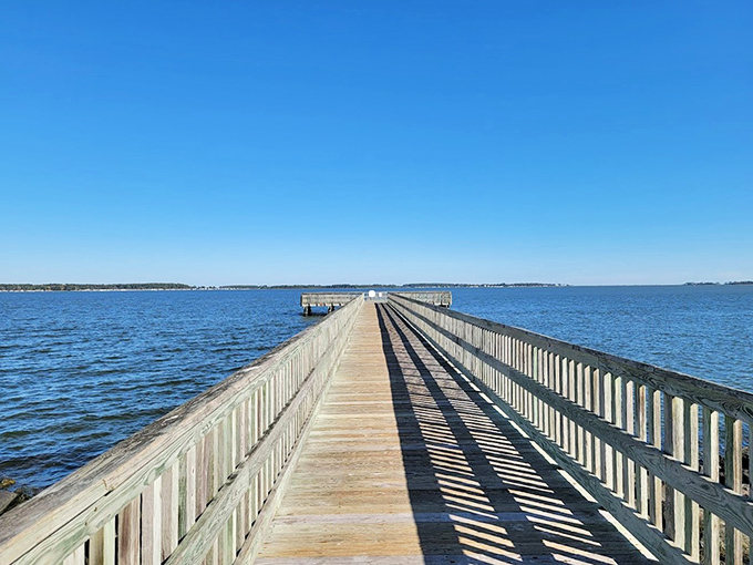 Nature's runway: Where the only traffic is a family of ducks waddling across your path. Holts Landing's pristine coastline invites you to take flight from the everyday.