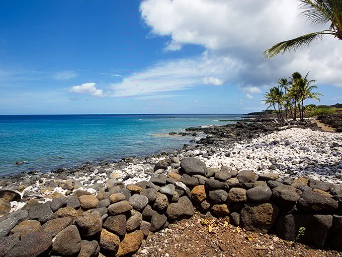 Nature's masterpiece unfolds: Lapakahi's coastline is like a Bob Ross painting come to life, minus the "happy little trees" &ndash; they're all palm trees here!