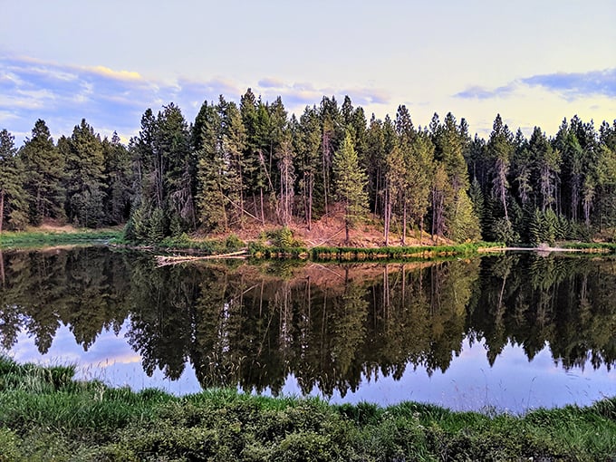 Mirror, mirror on the lake! Winchester's waters reflect nature's masterpiece, creating a double dose of pine-scented paradise.