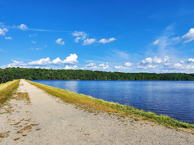 A path less traveled: Ashland State Park's winding trail beckons adventurers like a siren's call, minus the whole shipwreck thing.