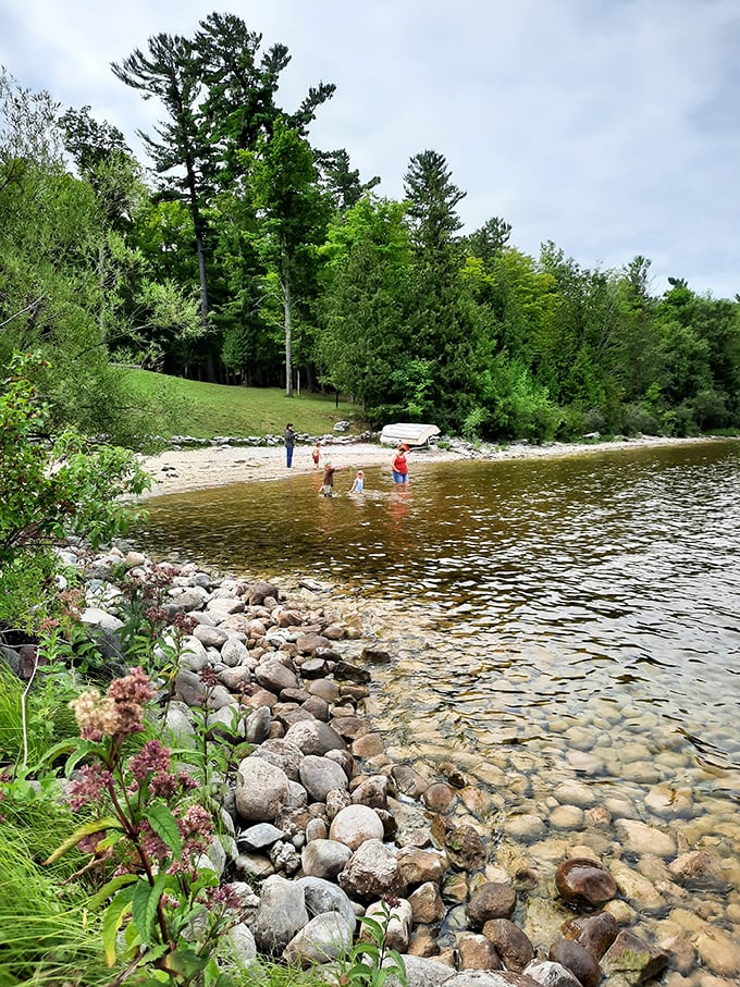 Nature's playground awaits! Onaway State Park's crystal-clear waters and lush greenery invite you to dive into adventure, no floaties required.