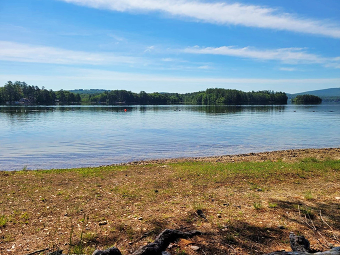 "Who needs a beach umbrella when you've got nature's own sunshade?" Towering pines frame a serene lakeside scene, inviting visitors to bask in New Hampshire's natural beauty.