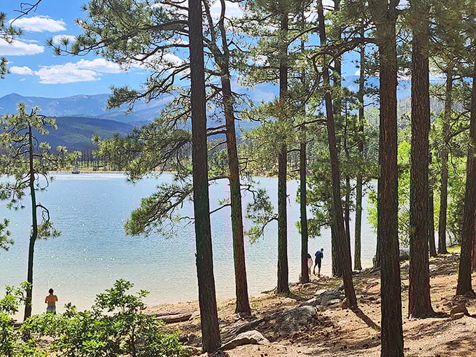 Who needs a green screen when you've got this? Mother Nature's showing off at Morphy Lake State Park, painting a masterpiece of mountains, forests, and crystal-clear waters.
