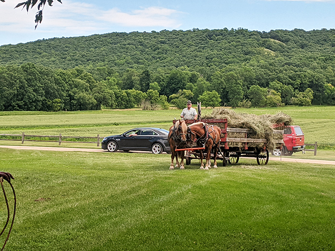 Nature's canvas unfurls: Rolling hills, lush forests, and golden fields paint a landscape that would make Bob Ross reach for his easel. Fort Ransom State Park is North Dakota's masterpiece.
