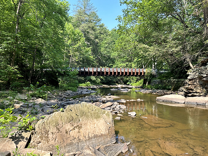 Indiana Jones, eat your heart out! This suspension bridge promises adventure without the pesky boulder chases.