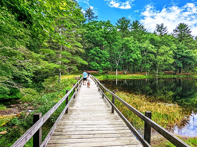 A bridge to tranquility! This wooden walkway invites you to leave your worries behind and step into nature's embrace.