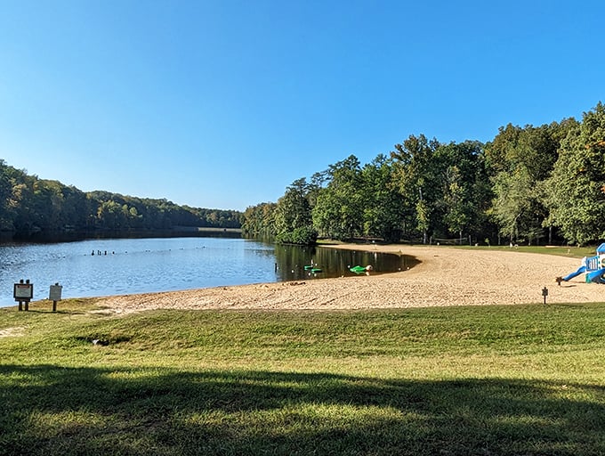 Nature's own waterpark! Bear Creek Lake invites you to dive into adventure, no inflatable unicorn required.