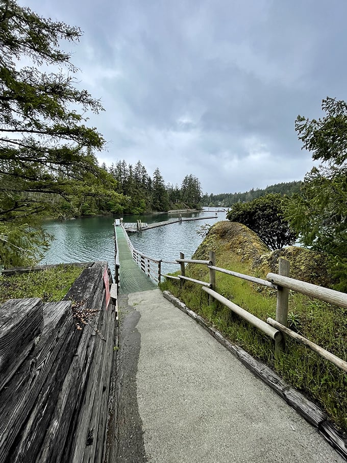 Nature's mirror: Jarrell Cove's tranquil waters reflect towering evergreens, creating a scene Bob Ross would've loved to paint.