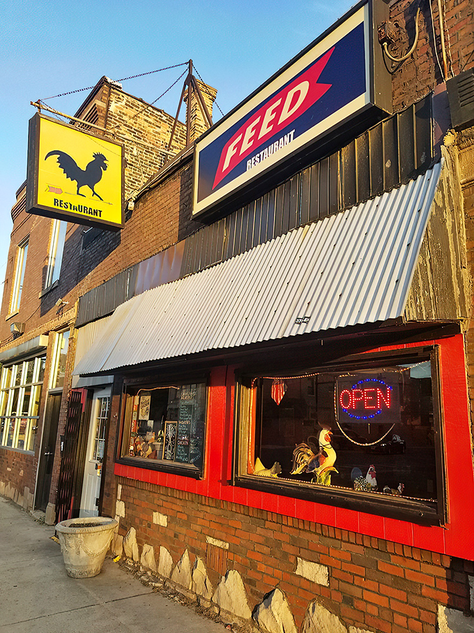 Welcome to Feed, where the rooster rules and the chicken reigns supreme! This unassuming exterior hides a world of flavor waiting to be discovered.