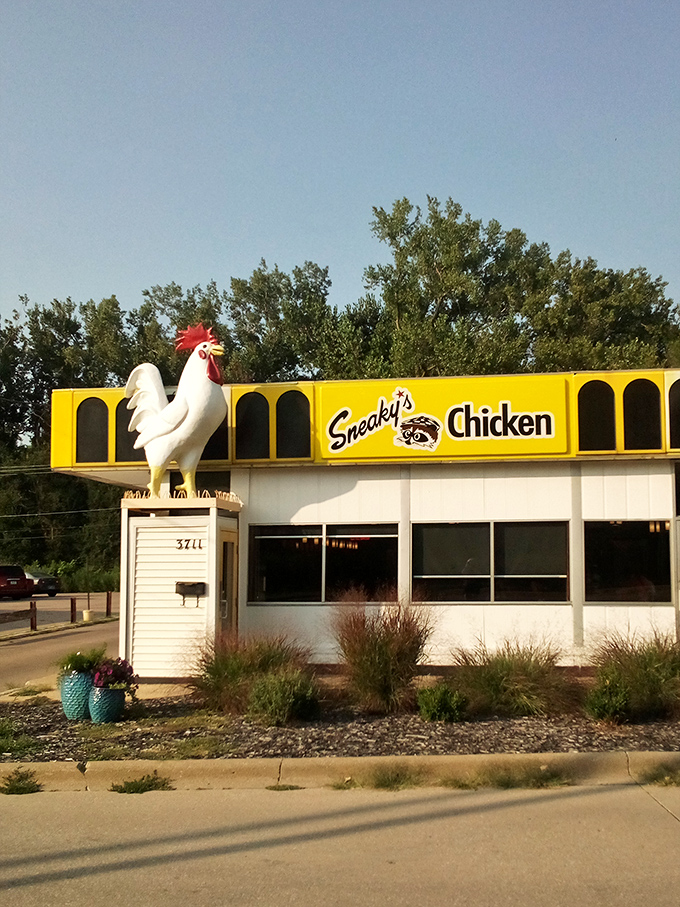 Behold, the golden beacon of poultry perfection! Sneaky's Chicken stands proud, its vibrant yellow exterior a siren call to hungry souls seeking crispy comfort.