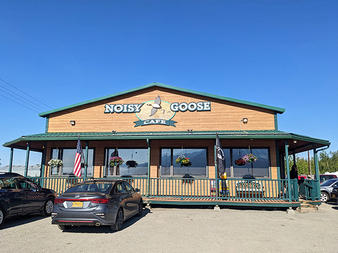Welcome to The Noisy Goose, where rustic charm meets comfort food paradise. This wooden wonderland might just be Alaska's answer to Southern hospitality!