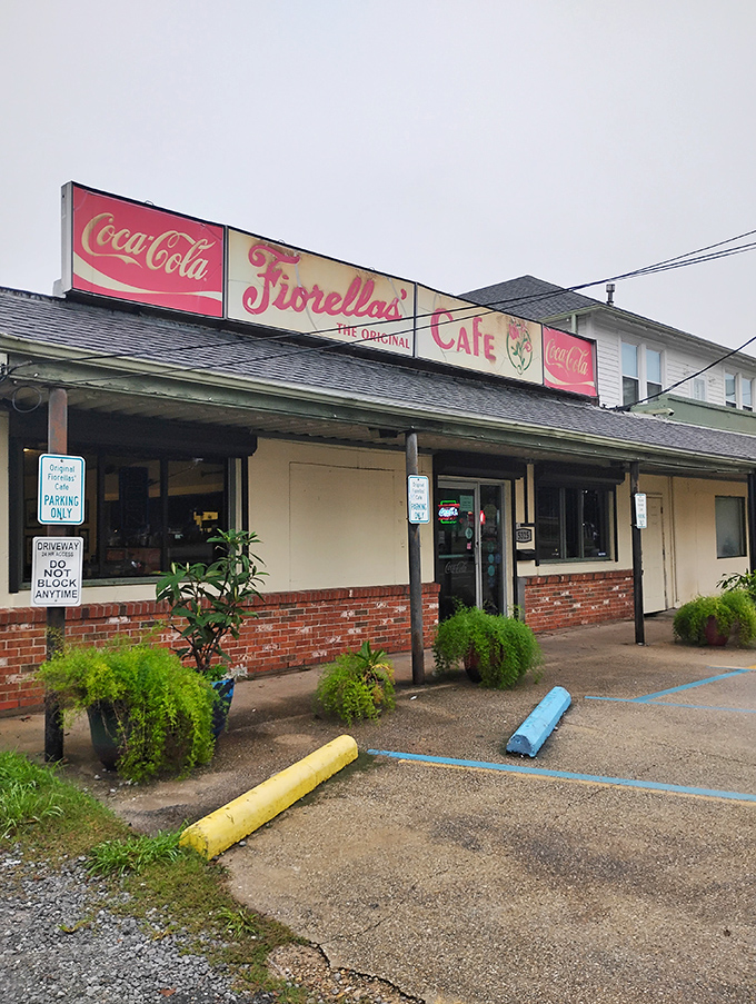 A beacon of comfort food! Fiorella's Cafe stands ready to welcome hungry souls with its promise of po-boys, fried chicken, and Southern hospitality.
