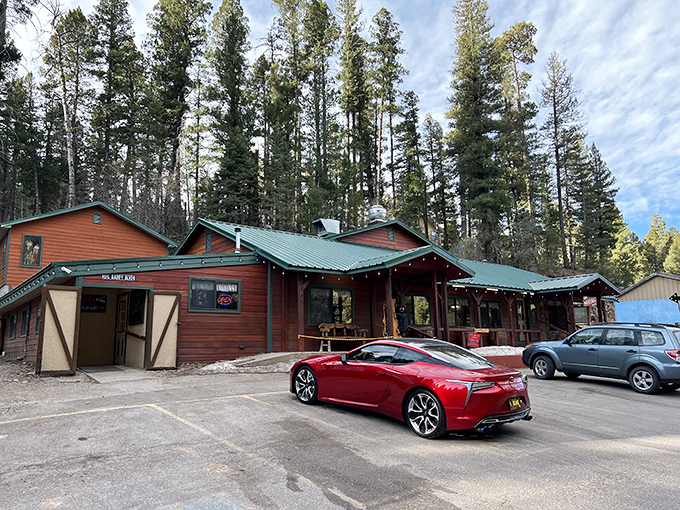 Rustic charm meets mountain magic! Big Daddy's Diner stands tall among the pines, a beacon of comfort food that's more inviting than a warm blanket on a chilly Cloudcroft evening.