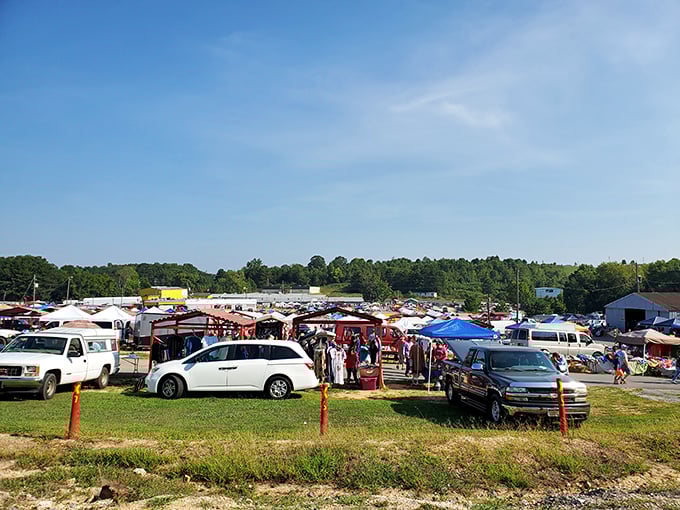 Step right up to the bargain bonanza! Mountain Top Flea Market is where treasure hunters and deal-seekers unite in a colorful carnival of commerce.