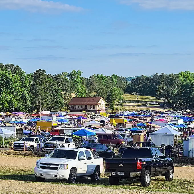 Step right up to the bargain bonanza! Mountain Top Flea Market is where treasure hunters and deal-seekers unite in a colorful carnival of commerce.