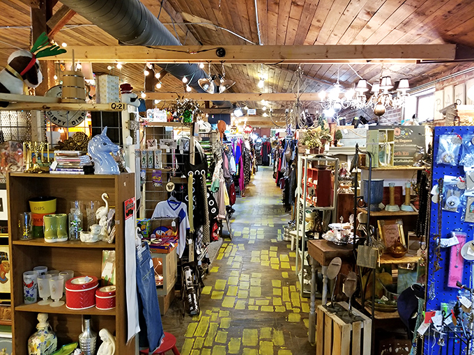 Step into a treasure hunter's paradise! Fayetteville's Funky Flea Market is a labyrinth of curiosities where one person's castoff becomes another's prized possession.