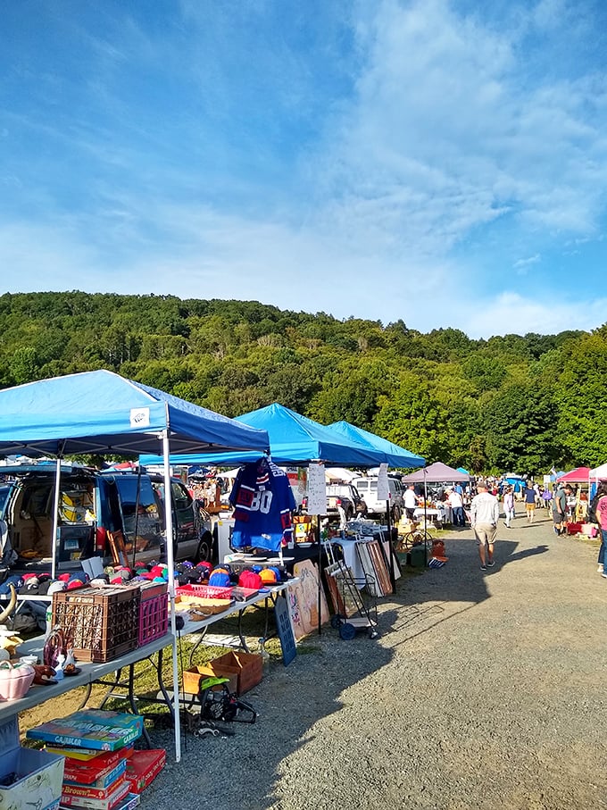A treasure hunter's paradise! The Elephant's Trunk Flea Market sprawls out like a real-life version of "Where's Waldo?" for antique enthusiasts.