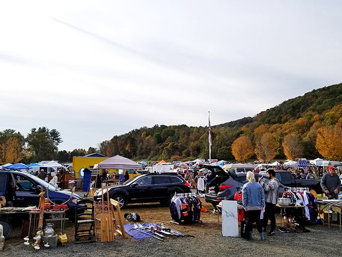 A treasure hunter's paradise! The Elephant's Trunk Flea Market sprawls out like a real-life version of "Where's Waldo?" for antique enthusiasts.